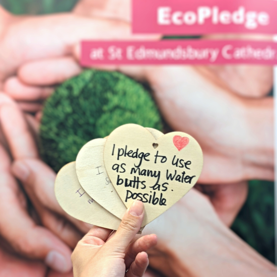 Eco Pledge Goes Live | St Edmundsbury Cathedral